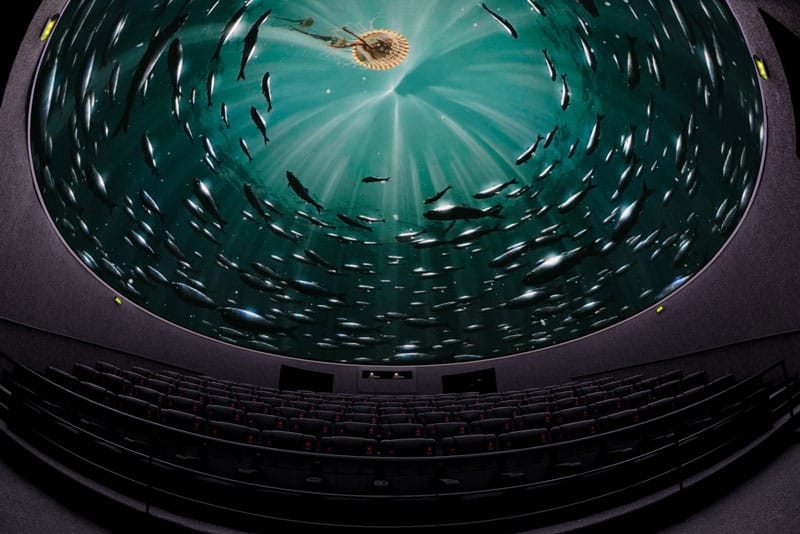 Arena Digital - PUCPR